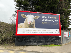‘What the flock you looking at?’: the use of wordplay and bad language ...